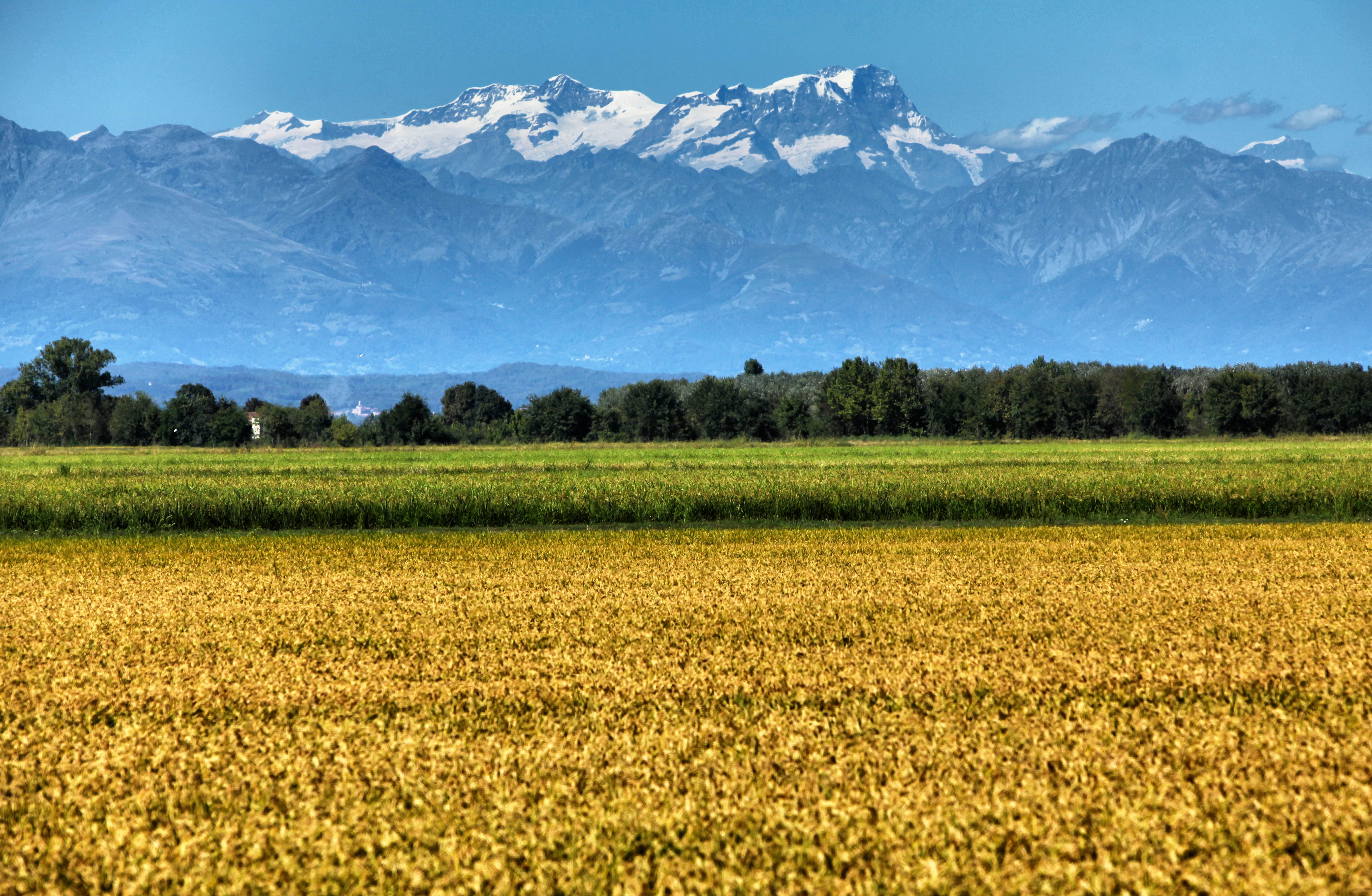#Italiaontheroad - Vercelli, un tesoro sotto le alpi.
